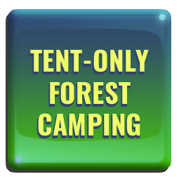 Lost Lands Festival Camping | Camping Passes, RV Passes, Parking Pass